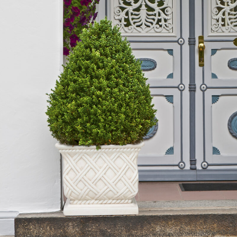 17.75 in. Light Aged White Cast Stone Square Lattice Planter (PS5930LAW ...